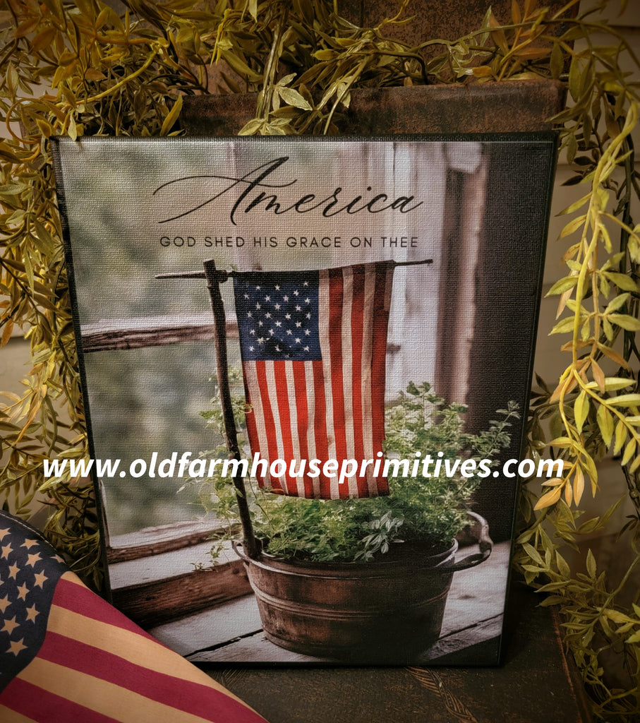 #HGC1043 "Shed His Grace" 8x10 Canvas Print – Old Farmhouse Primitives