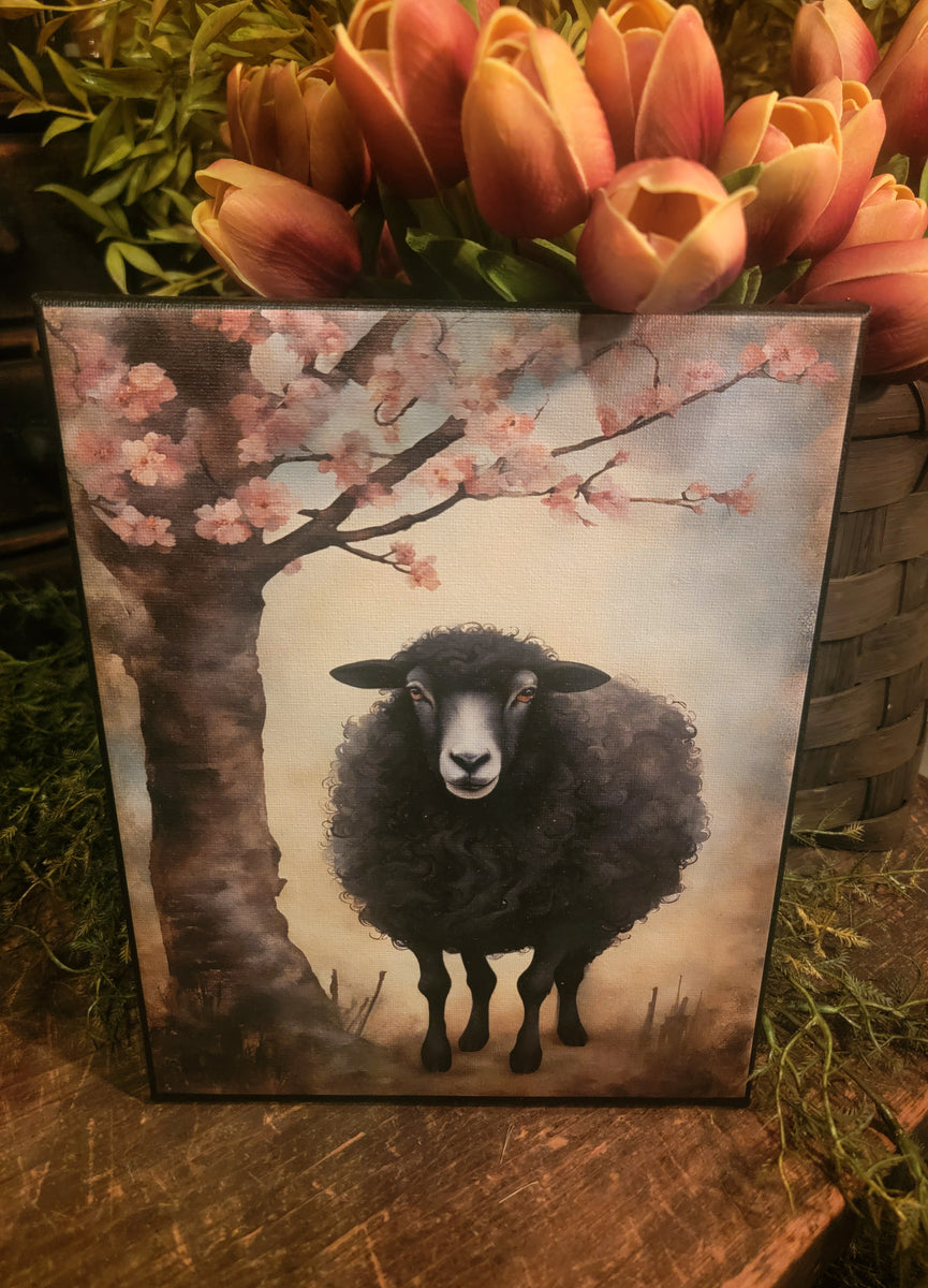 #HGC1096 Black Sheep Spring Canvas Print 8x10 – Old Farmhouse Primitives