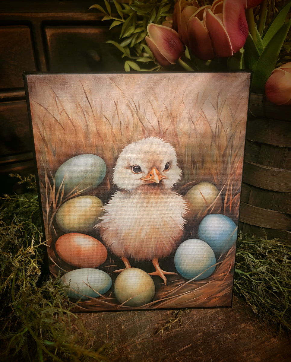 #HGC1083 Primitive Chick With Eggs Spring Canvas Print 8x10 – Old ...