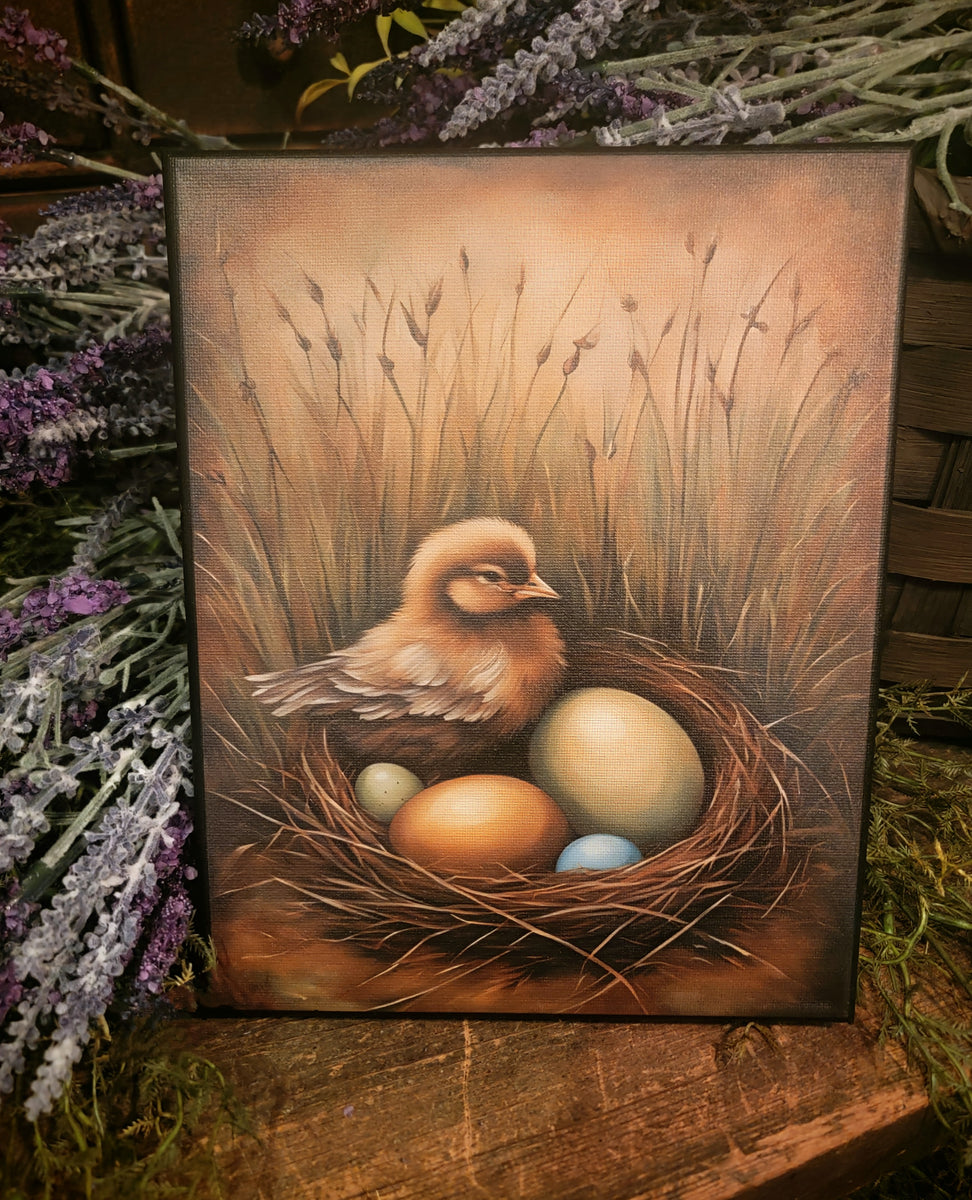 #HGC1091 Primitive Baby Bird With Eggs Spring Canvas Print 8x10 – Old ...