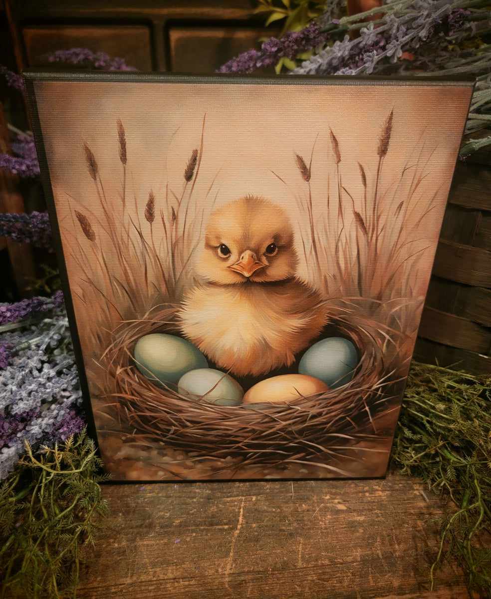 #HGC1085 Primitive Chick With Eggs In Nest Spring Canvas Print 8x10 ...