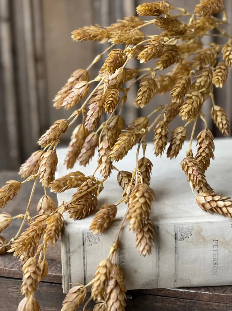#38691DG Primitive "Natural" Hops Drip 30 Inch Hanging Garland – Old ...