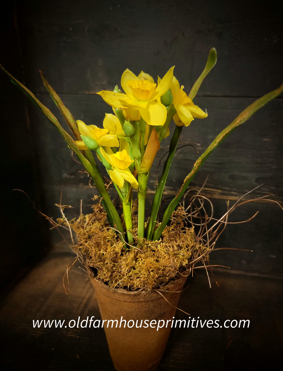 #PTDFY Primitive Potted "Yellow Daffodil"🌼 Flower Pot – Old Farmhouse ...