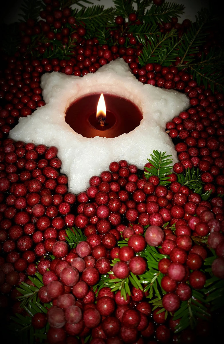 #TCS16 Cranberry Sugar Cookie Floating Star Candle Kit (Made In USA ...